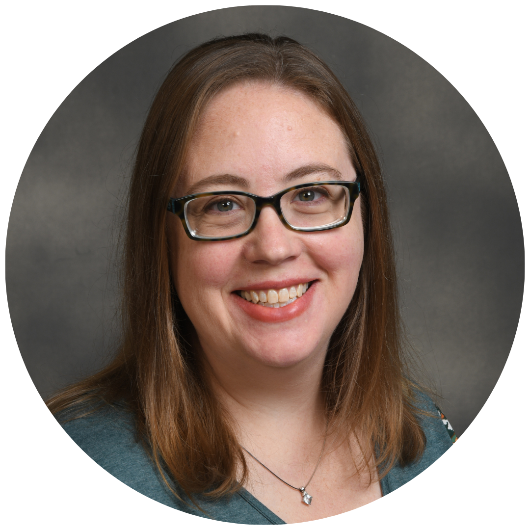 About the Michigan Lutheran Seminary Foundation
